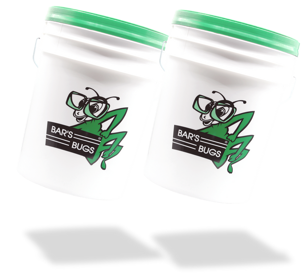 Bar's Bugs New Zealand